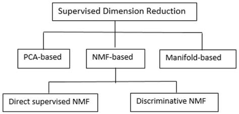 Recent Advances in Supervised Dimension Reduction: A Survey