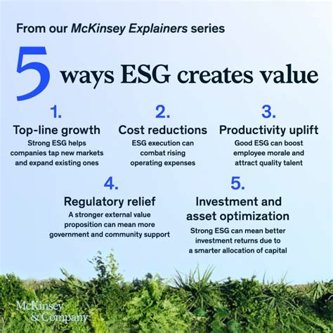 Mckinsey And Company On Linkedin Mckinseyexplainers Esg
