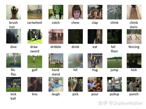 【cv】行为识别 action recognition 常见数据集和研究现状 知乎