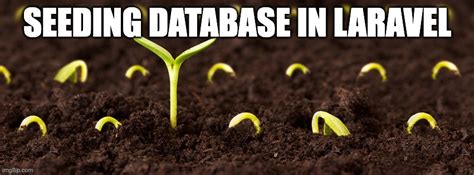 Seeding Database In Laravel Codingoblin