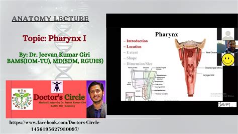 Anatomy Lecture Pharynx I Dr Jeevan Kumar Giri Youtube