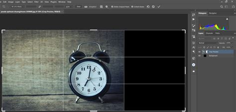 How To Resize A Layer In Photoshop In 4 Easy Steps