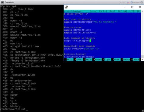 bash history