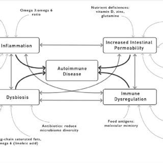 The Interplay Between Autoimmune Disease Dysbiosis Increased Download Scientific Diagram