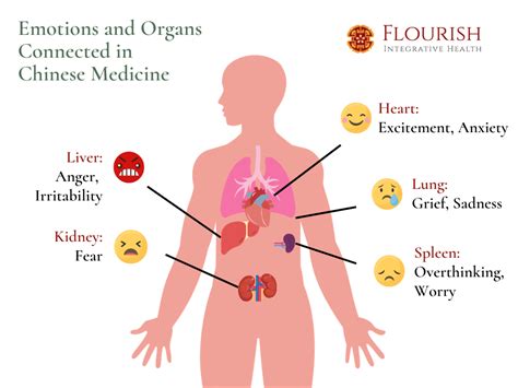 Managing Stress Anxiety And Depression With Acupuncture
