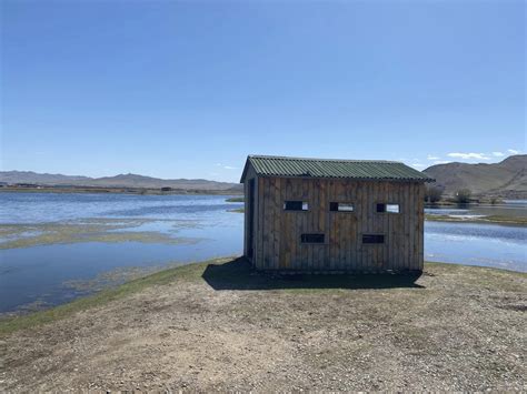 Шувуу сонирхогчдод зориулан Хун нуурын зүүн хойд хэсэгт шувуу ажиглах нуувч байршуулжээ Isee Mn