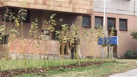 Miei Anni Film Italiano Completo Xhamster