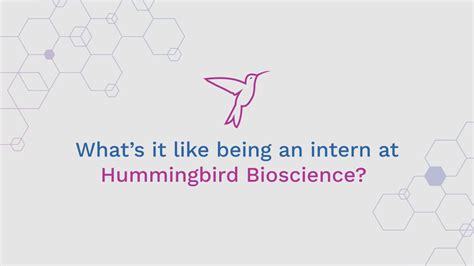 Hummingbird Bioscience On Linkedin Day In The Life Internship