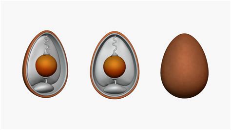 Anatomy Of Bird Egg Model Turbosquid