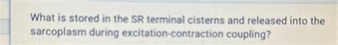 Solved What Is Stored In The Sr Terminal Cisterns And