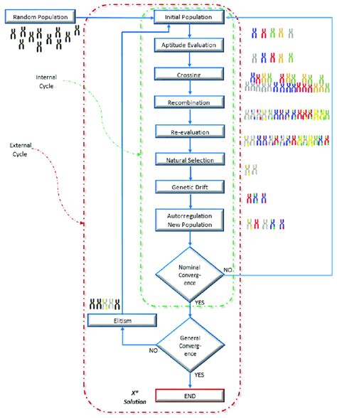 Genetic Micro Algorithm Fitness Evaluation Download Scientific Diagram