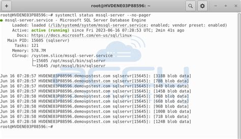How To Install Umbraco In Linux Linux VPS Hosting AccuWeb Help Center