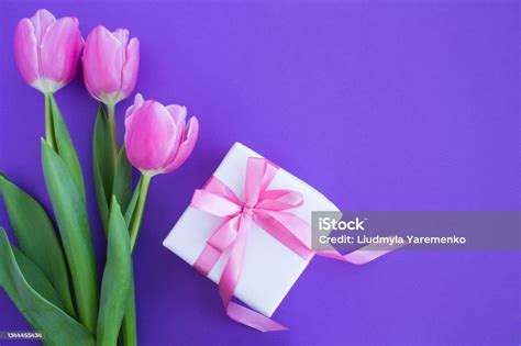 보라색 배경에 분홍색 활과 분홍색 튤립이 달린 선물 상자 맨 위 보기입니다 공간을 복사합니다 0명에 대한 스톡 사진 및 기타 이미지 Istock