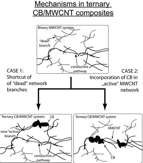 Principles Of Conductive Pathway Formation In Ternary Cbmwcnt Systems