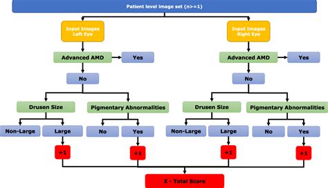 Automation Of Macular Degeneration Classification In Areds Opth Automation Of Macular Degeneration Classification In Areds Opth