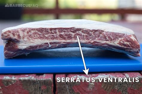 Types Of Ribs For Smoking Pork And Beef Barbecue FAQ