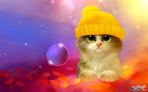 صور قطط لطيفة قمر قمورة