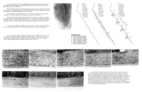 Experimental Forest M Mjaatvedt