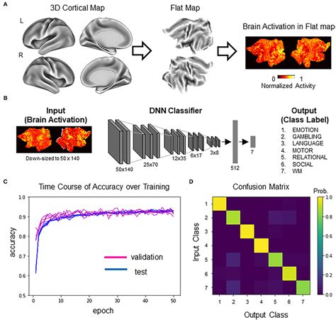 Dnn Classifier For Brain Activity Decoding A Following The Standard Download Scientific