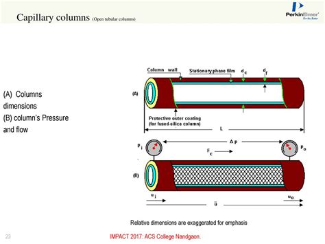 Basics Of Gas Chromatography Ppt Download