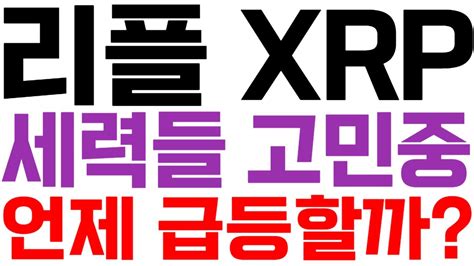 리플 Xrp 세력들 고민중 언제 급등할까 Sec소송 양자컴퓨터 해킹 리플etf 트럼프펀드 비트코인 Etf 리플코인전망 리플전망