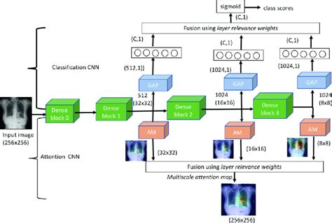 a framework proposed in [103] for localizing chest x ray pathology