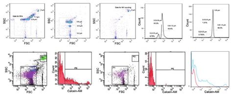 Gating And Counting Strategy Representative Dot Plots And Histograms Download Scientific