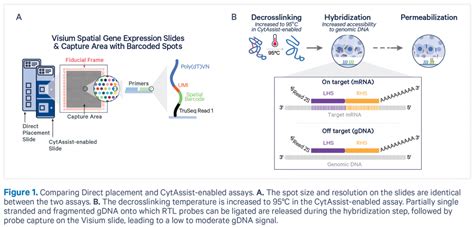 Ngi Sweden Visium Cytassist For Fresh Frozen And Fixed Frozen Samples Probe Based