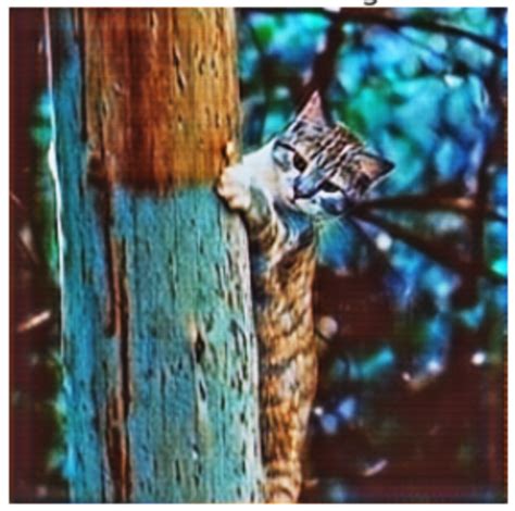 Building A Cyclegan Model With Custom Dataset Using Tensorflow 2 By