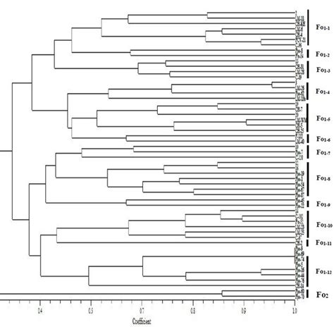 Dendrogram Constructed By Unweighted Pair Group Method With Arithmetic