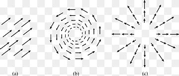 Calculus Png Images PNGWing