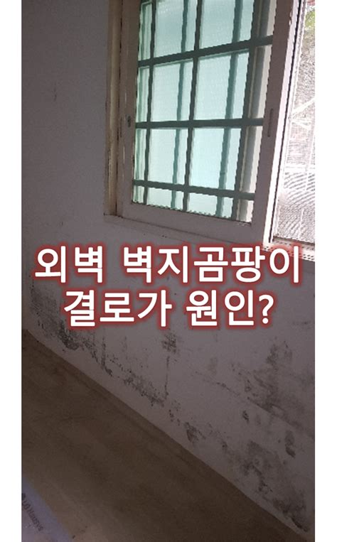 반지하 곰팡이 반지하방 벽지 곰팡이 원인은 반지하 반지하방 방바닥 습기 방바닥 결로 방바닥 곰팡이 발생 원인과 해결방안에 관하여 네이버 블로그