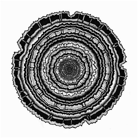 Tree Cross Section Example