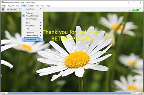 Better Media And DVD Player Online Tutorial Page Xiaoya S Lab