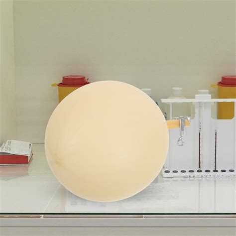 Hemoton 4pcs Sampling Gas Bladder Gas Bladder Lab Laboratory Gas Sampling Bladder Lab Latex