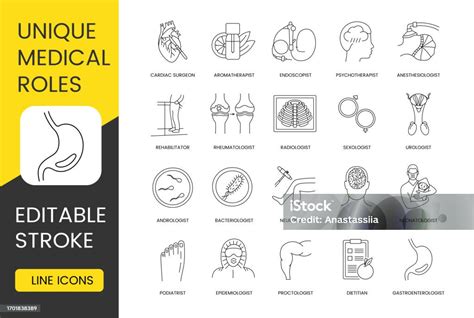 벡터 독특한 의료 역할 편집 가능한 뇌졸중 신생아 전문의 및 신경 외과 의사 신경과 전문의 및 비뇨기과 전문의 마취과 의사 및 성 전문의 항문 전문의 및 내시경 전문의로