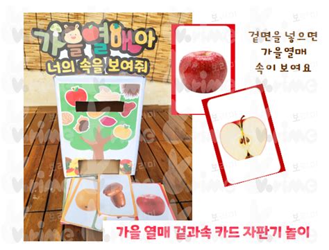 [보리미] 가을열매놀이 가을놀이 카드 자판기놀이 열매 겉과속 카드 가을카드 열매카드 놀이학습 네이버 블로그