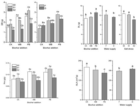 Effects Of Two Biochar Types On Mitigating Drought And Salt Stress In Tomato Seedlings