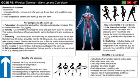 Gcse Pe Revision Map Warm Up Cool Down Exam Preparation Key Information Physical Training