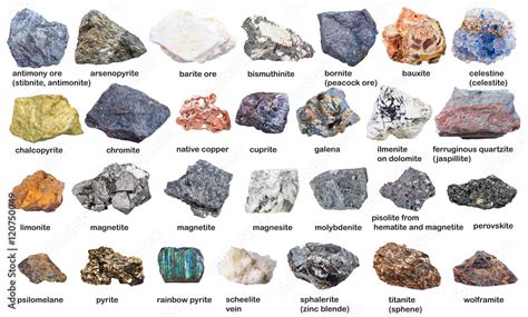 Set From Raw Minerals And Ores With Names Isolated Stock Photo Adobe Stock