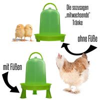 Hühnertränke 50l Mit Füßen Grün 1399