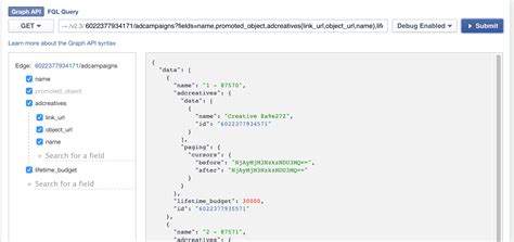 Facebook Marketing Api Some Field Are Not Shown Stack Overflow