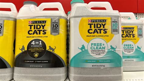 Clever Ways To Use Empty Cat Litter Containers Around Your Home And Garden