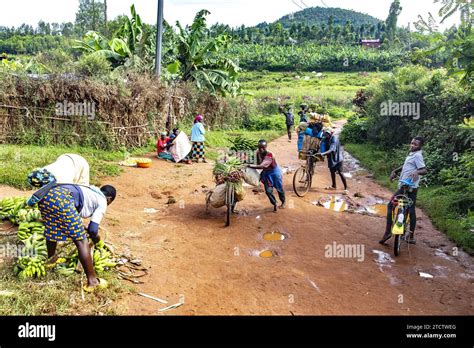 Villagers Going To Market To Sell Bananas And Other Goods Southern