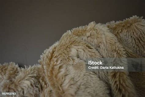 천연 롱 모피의 형태로 부드러운 커피 합성 직물 다른 구조와 모양의 간격 배열에 갈색 합성 모피 0명에 대한 스톡 사진 및 기타 이미지 Istock
