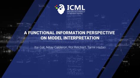Itai Gat Nitay Calderon Roi Reichart Tamir Hazan · A Functional