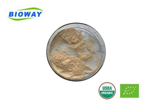China Selenium Enriched Yeast Powder Suppliers Manufacturers Factory Wholesale Quotation
