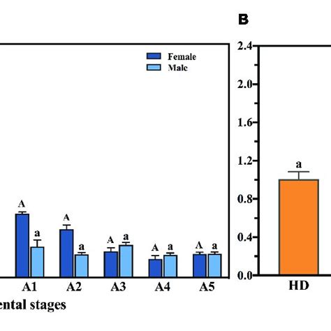 developmental and tissue specific expression patterns of lsakt a