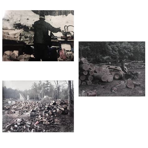 About Us Central Mass Tree