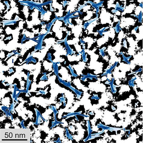 Phase Separated Structure Showing The Cao Enriched White And Sio 2